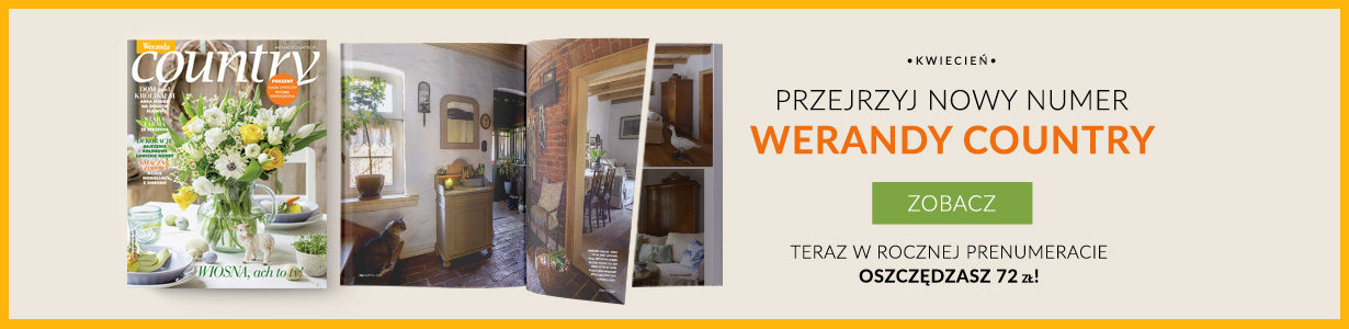 Grzyb kozia broda - jak wygląda i jak przyrządzić ten jadalny grzyb ...