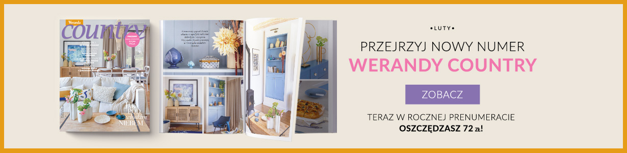 Grzyb kozia broda - jak wygląda i jak przyrządzić ten jadalny grzyb ...