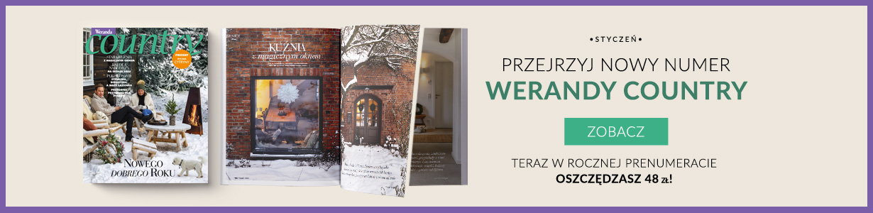 Grzyb kozia broda - jak wygląda i jak przyrządzić ten jadalny grzyb ...