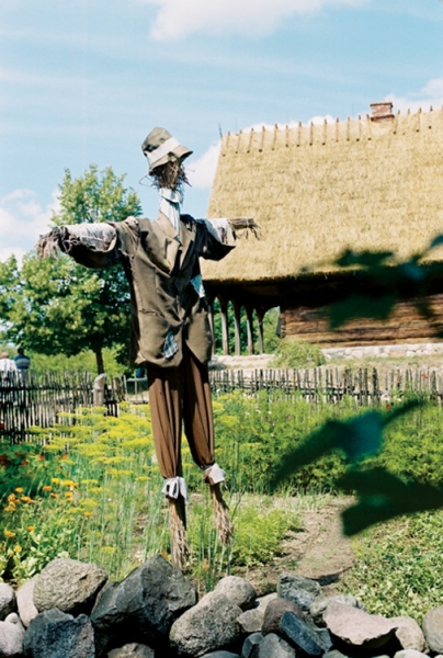 Strachy na wróble | Werandacountry.pl